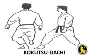 HEIAN NIDAN – Leão Karate Kyokai